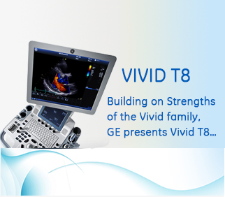 Vivid T8