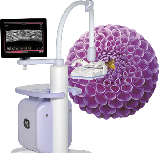 GE Healthacare Invenia ABUS Device